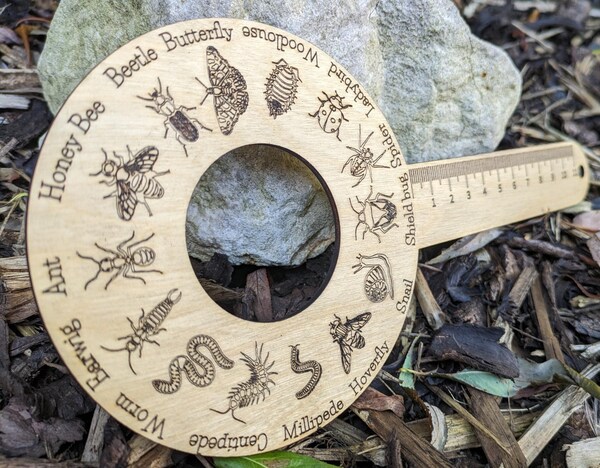 Bug Scavenger Hunt Printable Scavenger Hunt Nature Scavenger Hunt Kids ...