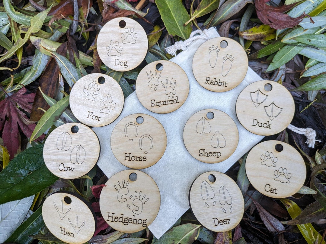 Animal Track Discs, Learning Tracks, Personalised Teachers Gift ...