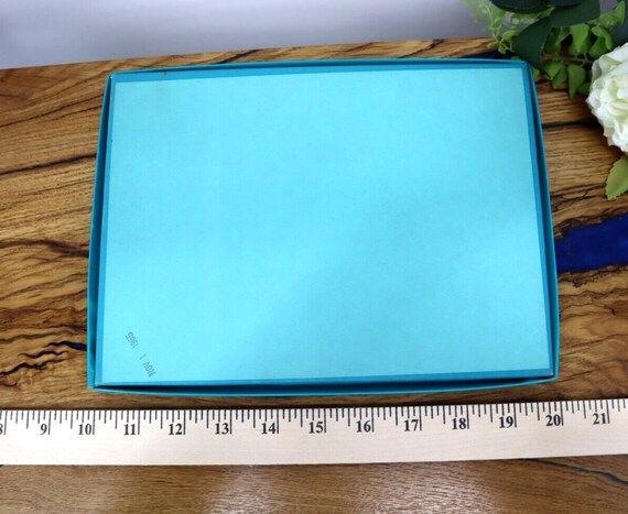 Vintage 60s Van Raalte Seamless Stretchables Drama Ny… - Gem