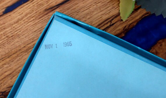 Vintage 60s Van Raalte Seamless Stretchables Drama Ny… - Gem