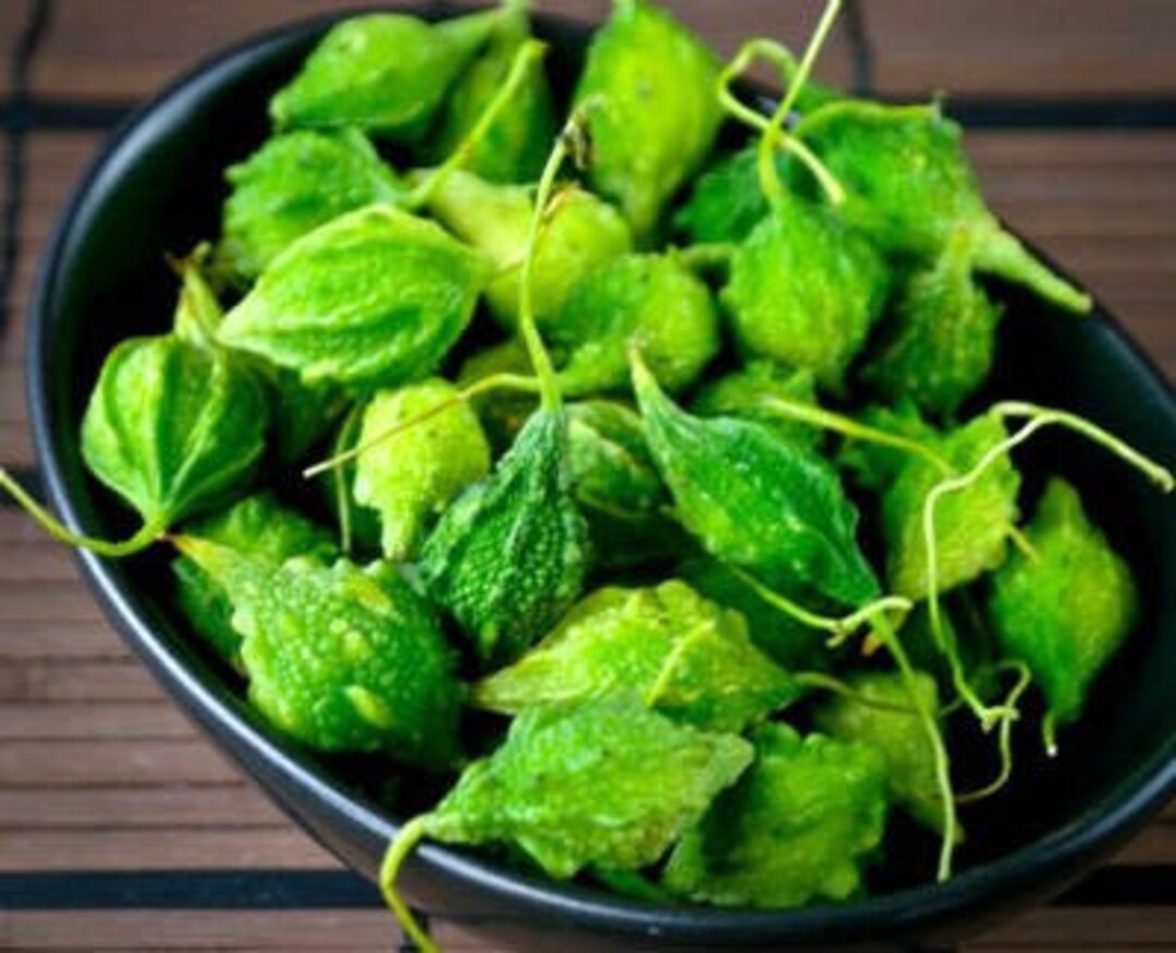 Starter Mini Bittergourd / Kutti Pavaikkai / Midhi Pavakkai Plant in 4 ...