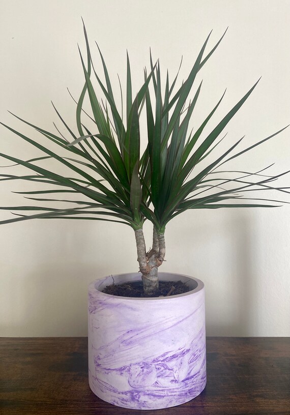 Handmade Plaster Pot 5.11 X 4.72 in Large Plant Pot - Etsy UK