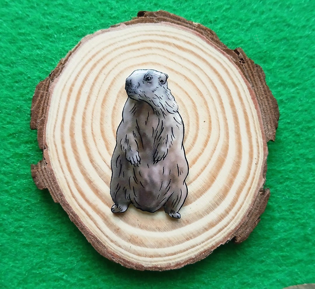 Marmot - Pin Badge - Hand Drawn - Personalised Gift - Birthday ...