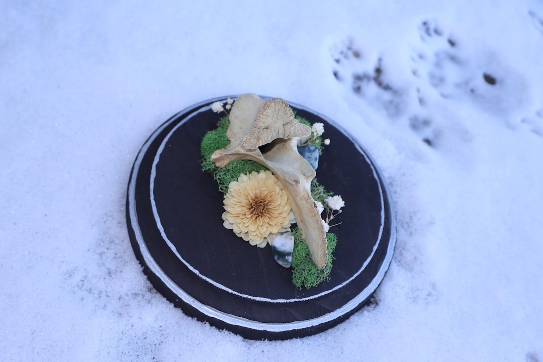 Deer Vertabae Wall Mount Art With Moss Agate and Baby’s-breath Accents ...