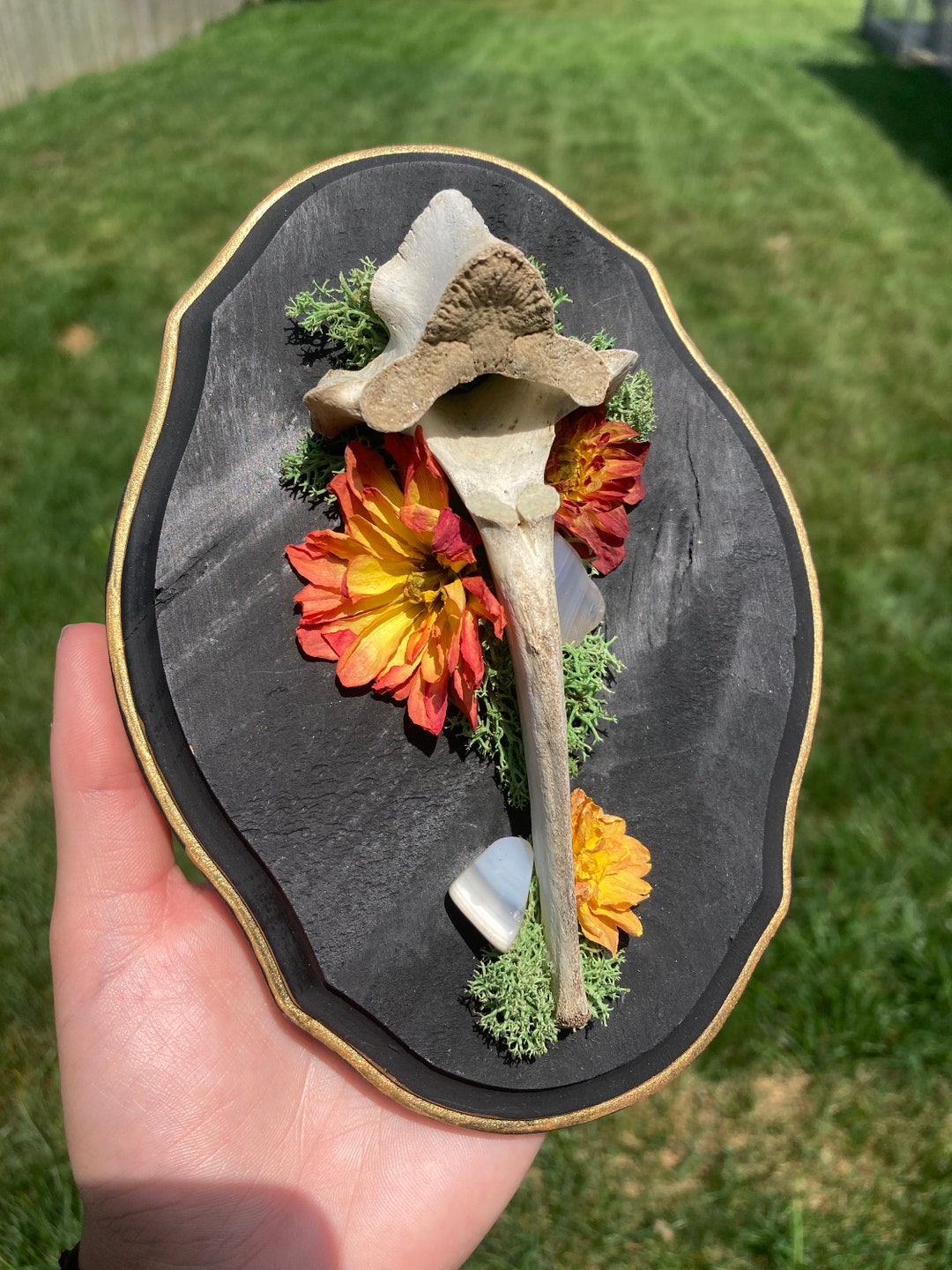 Deer Vertebrae, Agate & Dreid Dahlia Flower Wall Art - Etsy