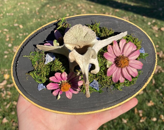 Deer Bone Floral Wall Mount Art - Etsy