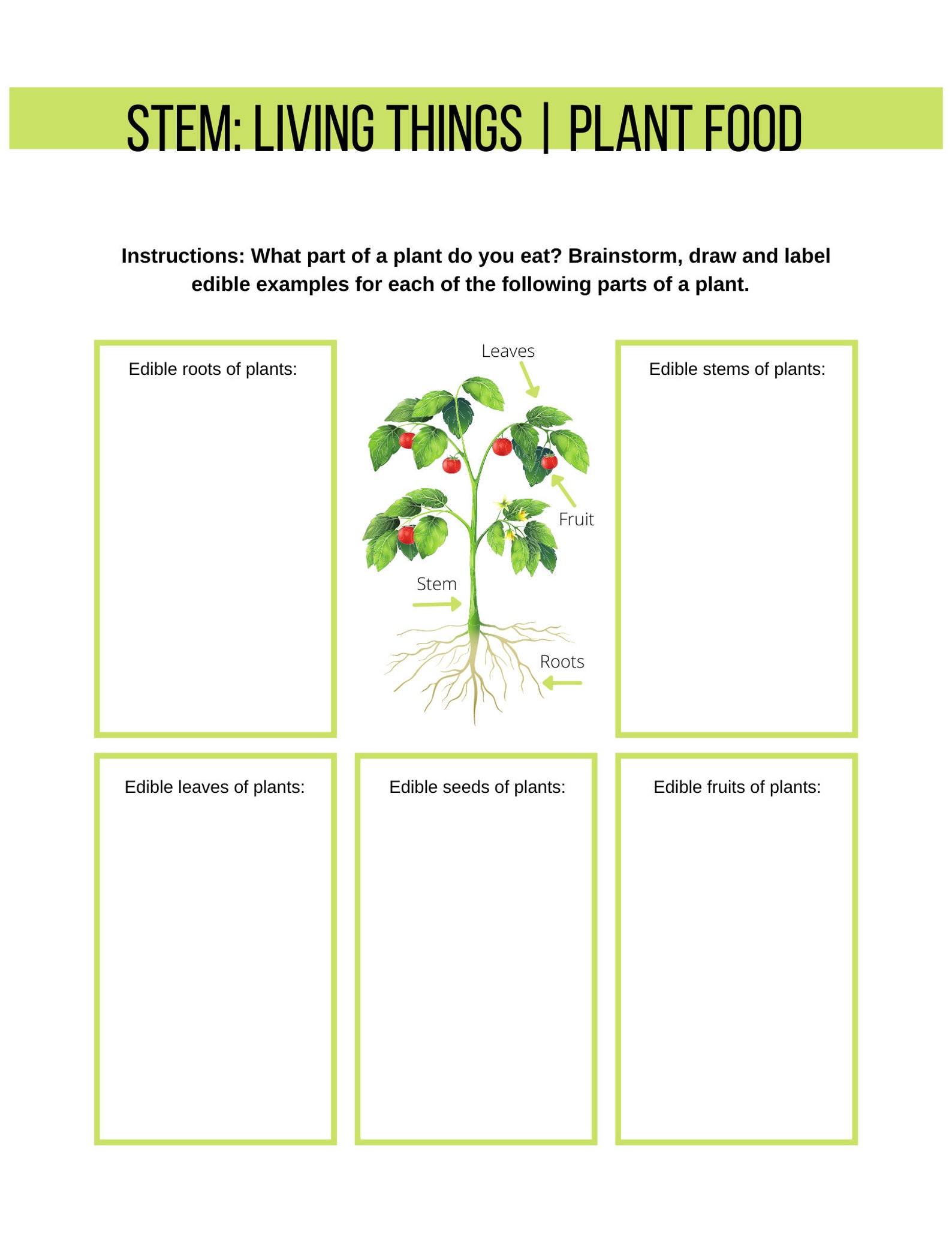Parts Of A Plant Lesson Plan With Worksheets And Answers Etsy sterreich parts-of-a-plant-lesson-plan-with-worksheets-and-answers-etsy-sterreich
