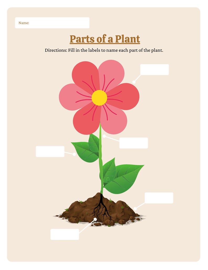 Parts Of A Plant Lesson Plan With Worksheets And Answers Etsy sterreich parts-of-a-plant-lesson-plan-with-worksheets-and-answers-etsy-sterreich