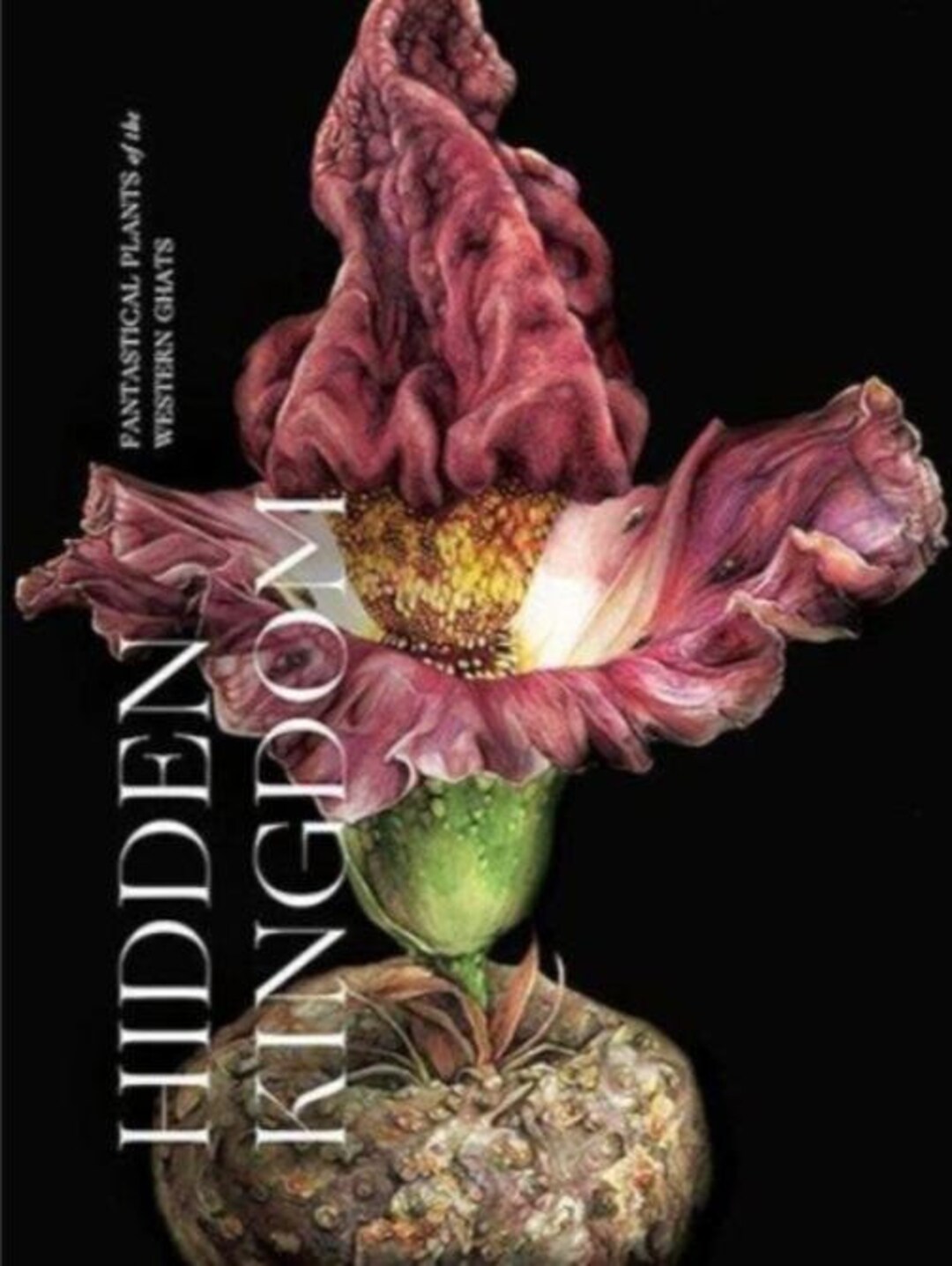 HIDDEN KINGDOM - Fantastical Plants of the Western Ghats by Nirupa Rao ...