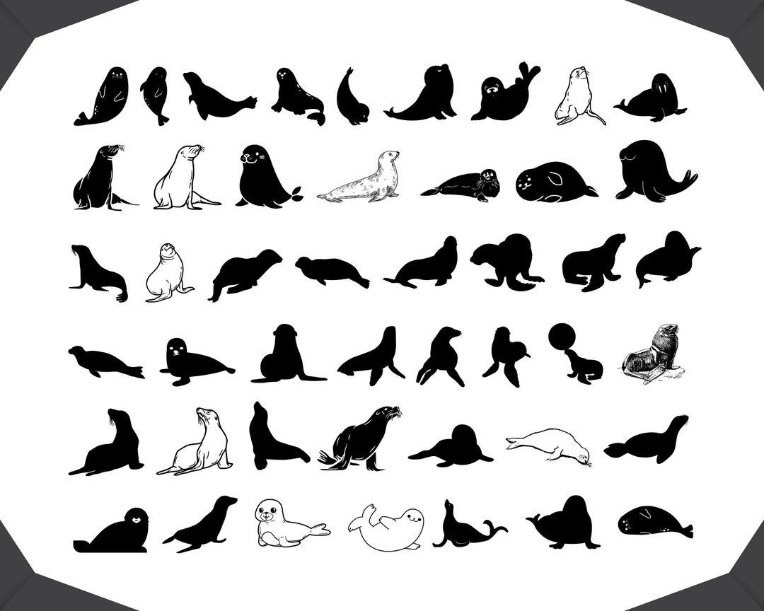 Seal Svg Bundle Seal Vectors Seal Cut Files SVG Files for - Etsy