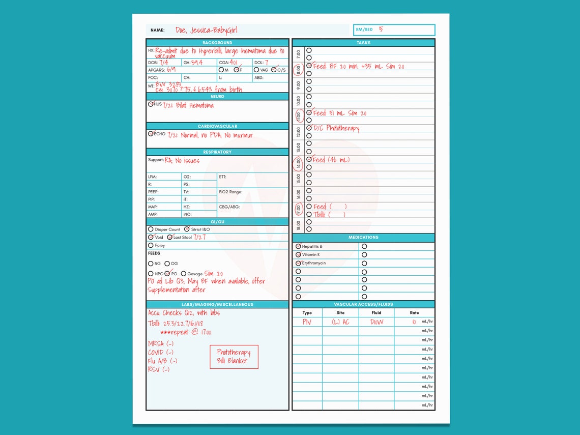 NICU Printable Nursing Report Sheet, Nurse Brain Sheet, One Patient ...