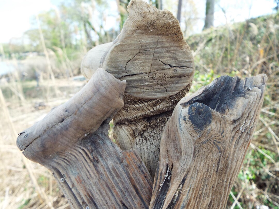 3 Father Time Clock Needles, Knotty Driftwood Stick - Etsy