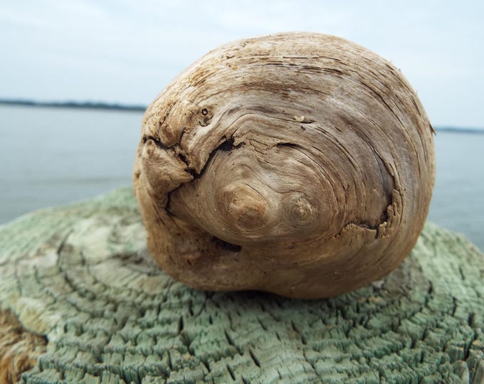 The Forest of Burzee Driftwood Knot - Etsy