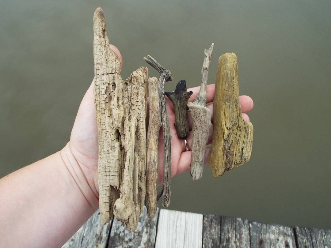 Uniquely Ended, 6 Pc Driftwood Sticks - Etsy