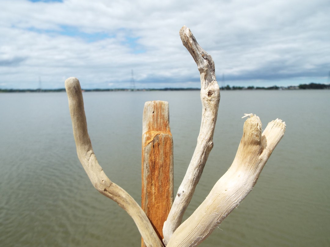 Uniquely Ended, 4 Pc Driftwood Sticks - Etsy
