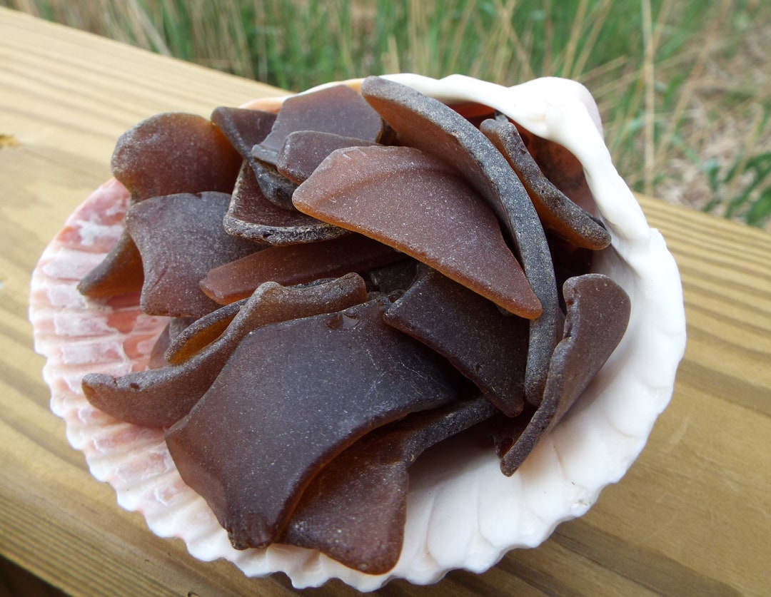 Shelled Amber Pretties, Sea Washed Sea Glass - Etsy