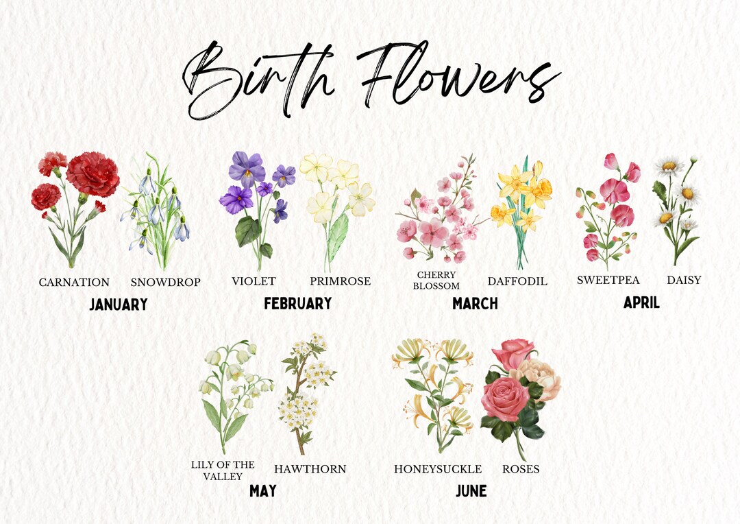 Birth Month Flower, Individual Birth Month Flower, Printable Wall Art ...