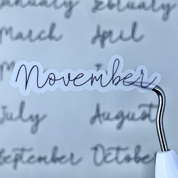 12 Month Stickers - Etsy