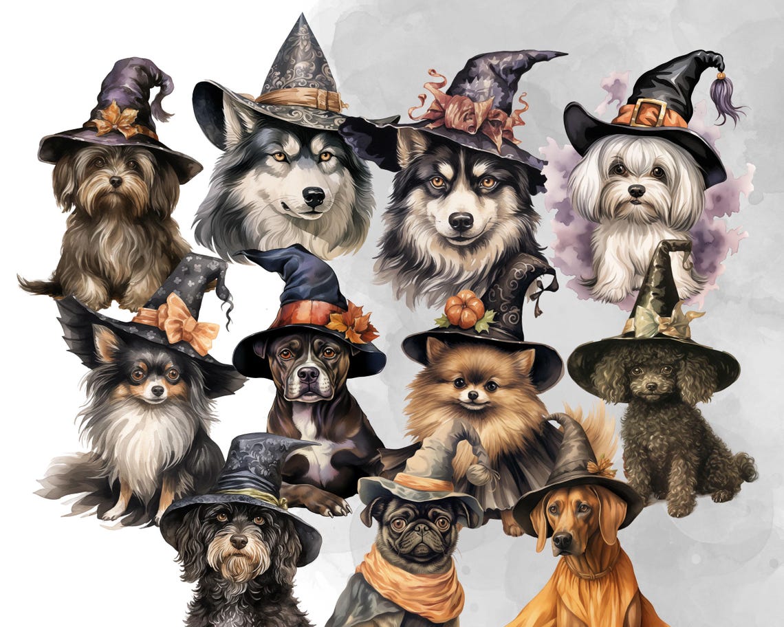 Halloween Witch Dogs Clipart, Dog Lovers Witchy Illustrations, Fall Dog ...