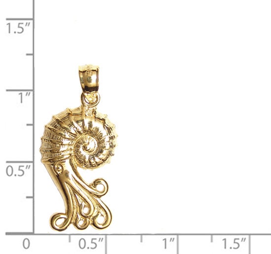 New 14k Gold Nautilus Shell Pendant - Etsy