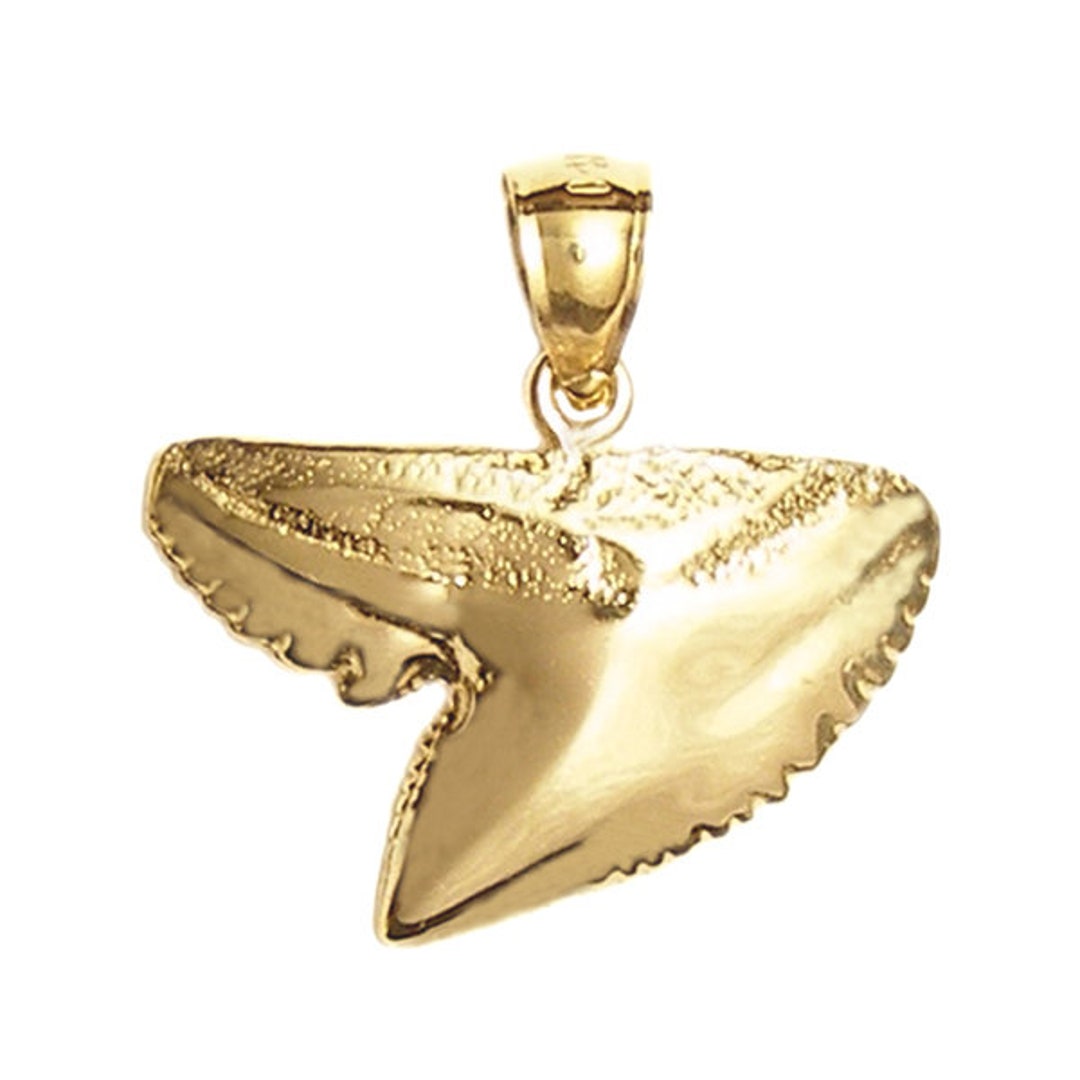New 14k Gold Shark Tooth Pendant - Etsy