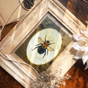 Bee Postcard Set of 4,card Set,vintage Card Bundle, Postcard Pack ...