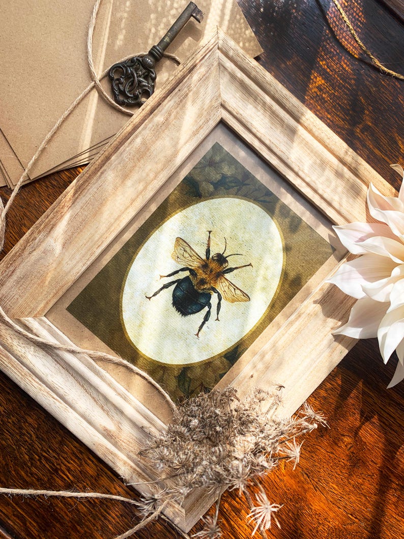 Bee Postcard Set of 4,card Set,vintage Card Bundle, Postcard Pack ...