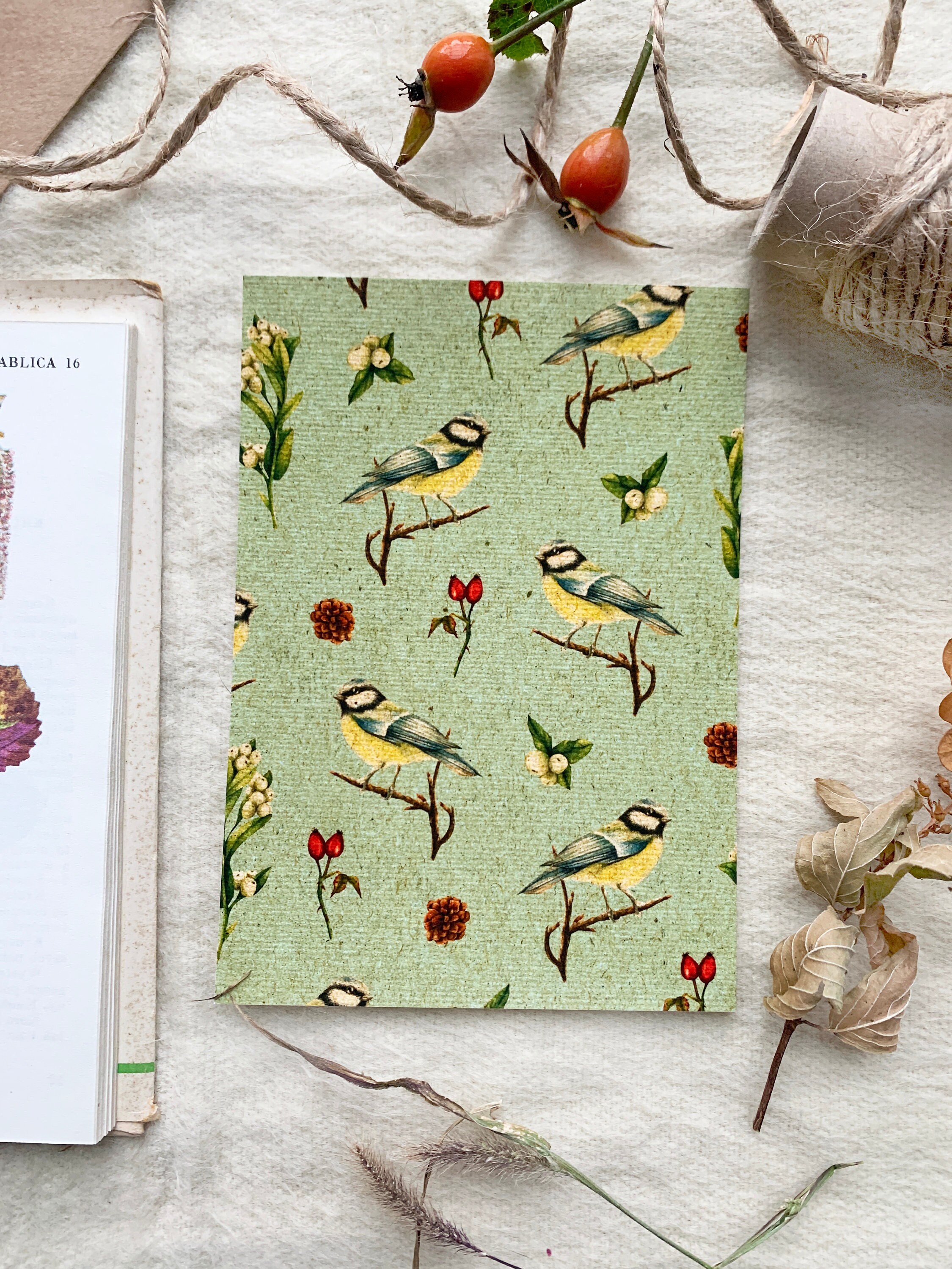 Winter Bird Postcard Set of 2, Card Set, Birds Card Bundle, Postcard ...