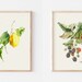Custom Botanical Painting-personalized Art | Hand Painted Illustration ...