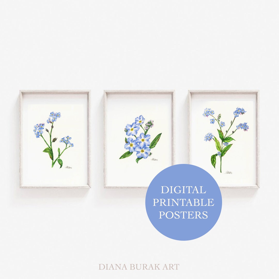 Forget-me-not Print Set of 3 Instant Downloadable Flower - Etsy