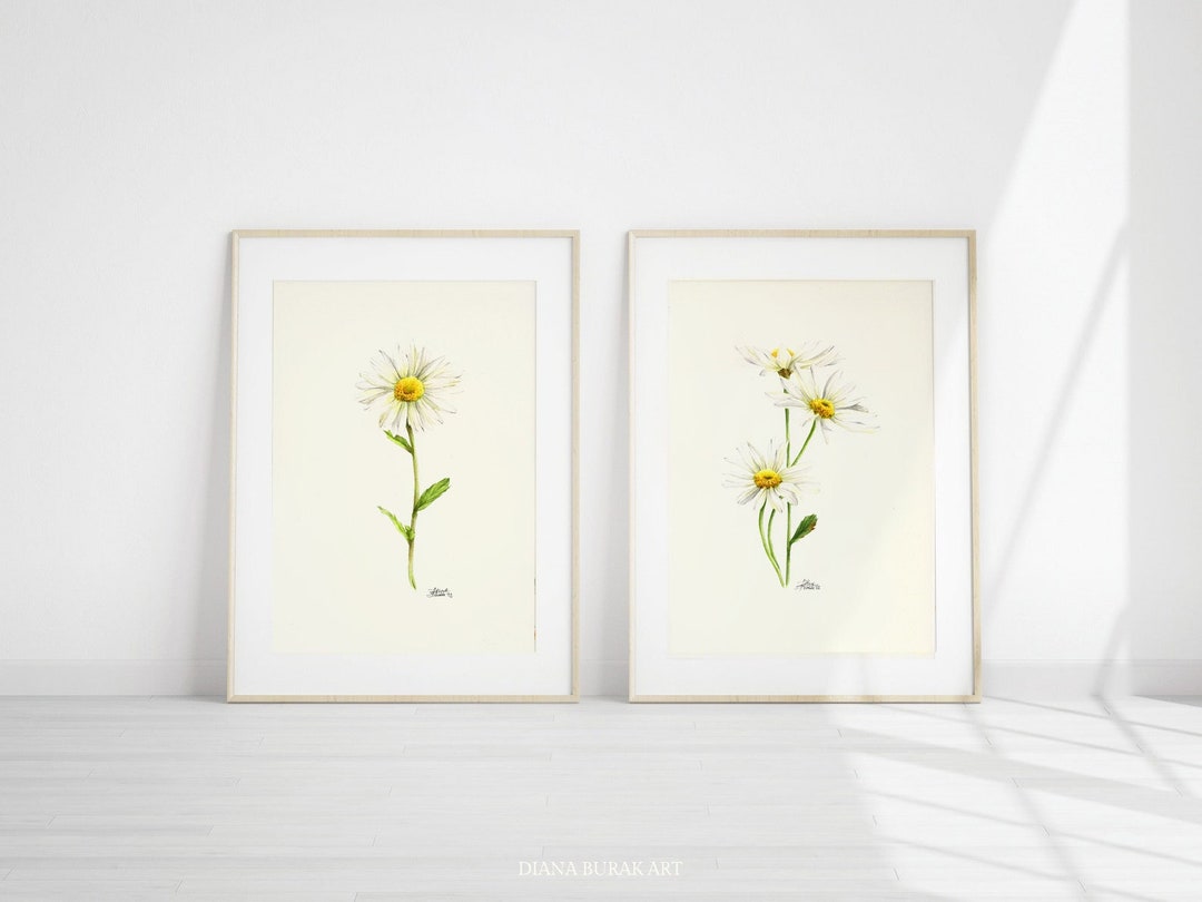 Daisy Prints Set of 2, Daisy Wall Art, Set of 2 Flower Posters, Flower ...