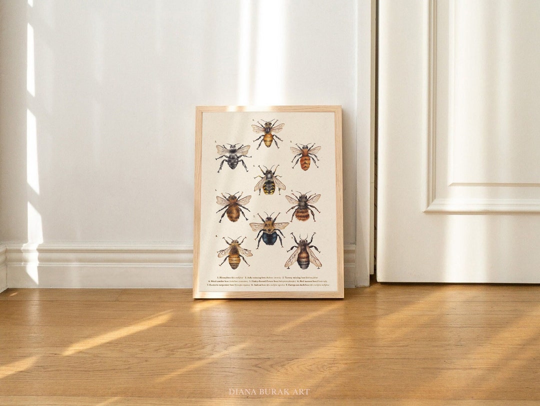 Bee Print, Bumblebee Print,bee Drawing Wall Art,gift for Bee Lover ...