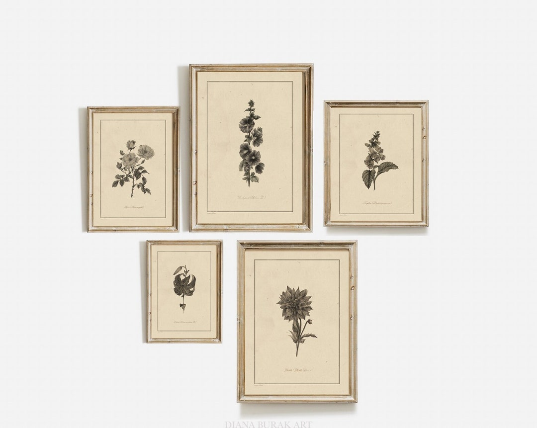 Vintage Flowers Prints, Floral Wall Art, Set of 5 Flower Posters ...