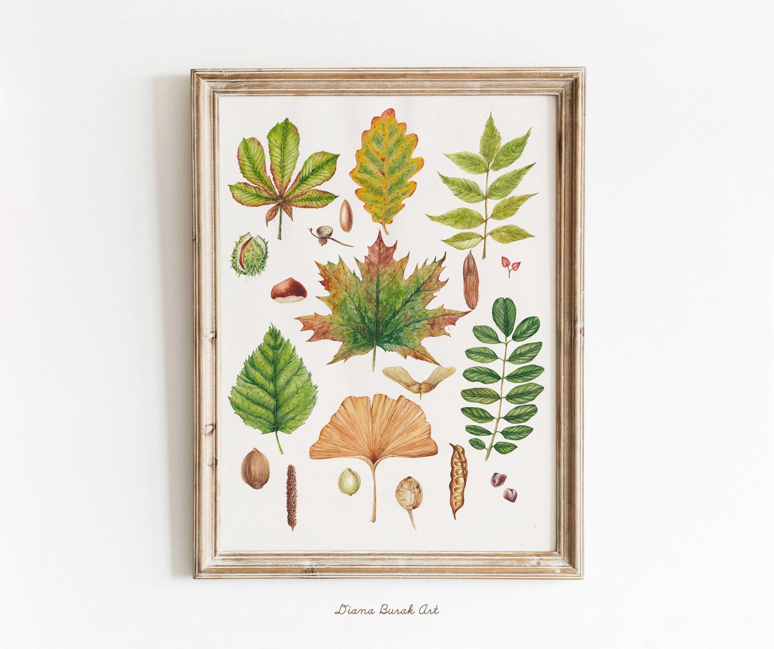 Tree Leaves Art Print, Vintage Botanical Illustration, Tree Poster ...