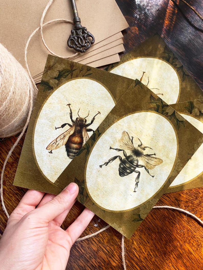 Bee Postcard Set of 4,card Set,vintage Card Bundle, Postcard Pack ...