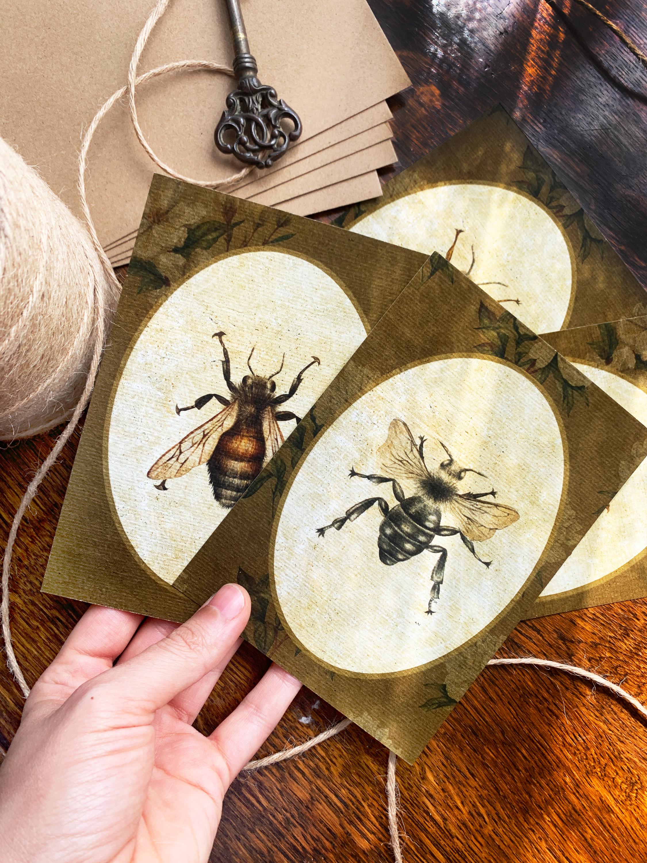Bee Postcard Set of 4,card Set,vintage Card Bundle, Postcard Pack ...