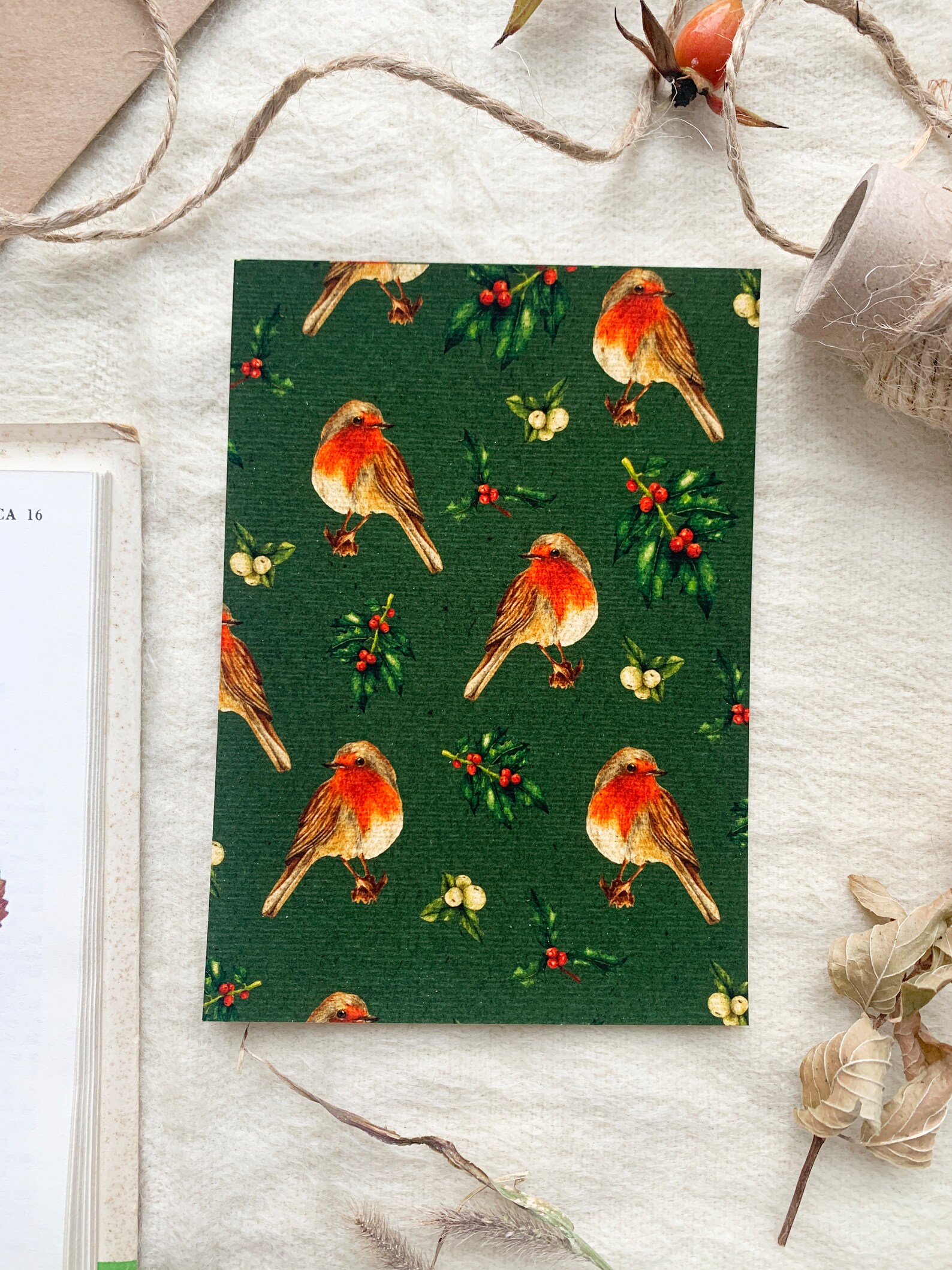 Winter Bird Postcard Set of 2, Card Set, Birds Card Bundle, Postcard ...