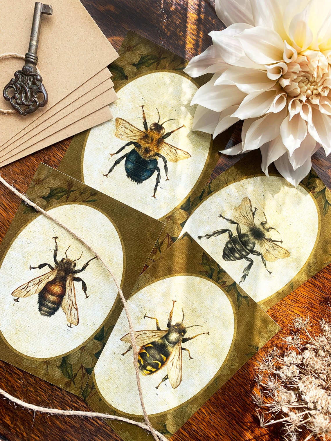 Bee Postcard Set of 4,card Set,vintage Card Bundle, Postcard Pack ...
