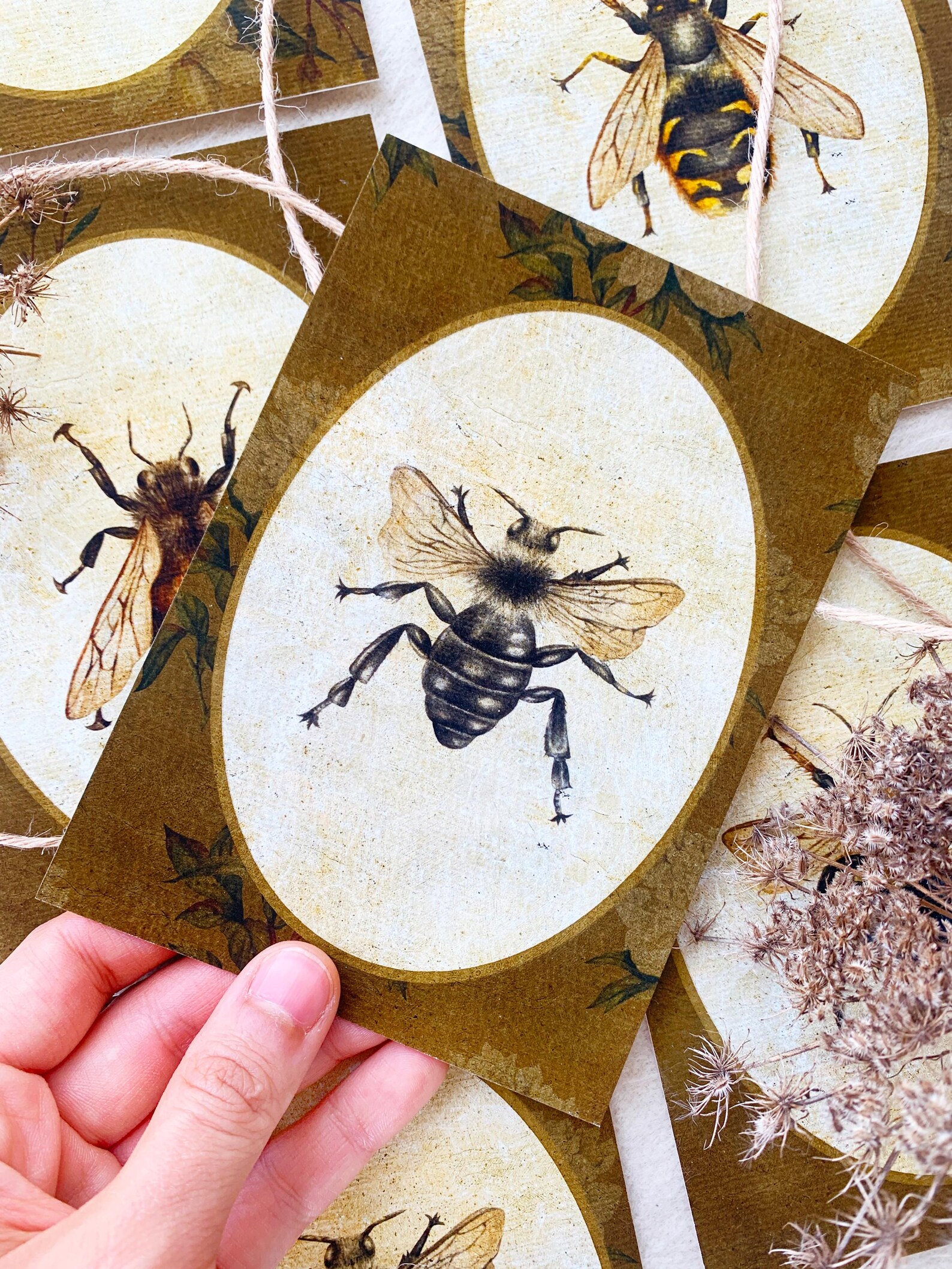Bee Postcard Set of 4,card Set,vintage Card Bundle, Postcard Pack ...