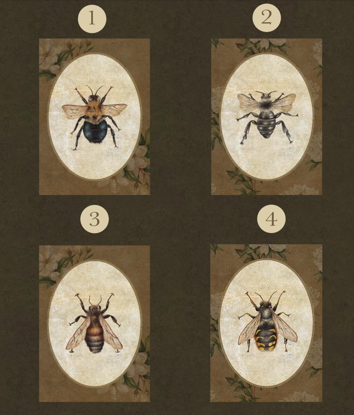 Bee Postcard Set of 4,card Set,vintage Card Bundle, Postcard Pack ...