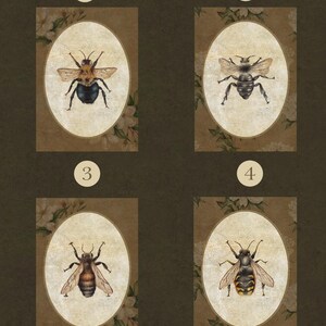 Bee Postcard Set of 4,card Set,vintage Card Bundle, Postcard Pack ...