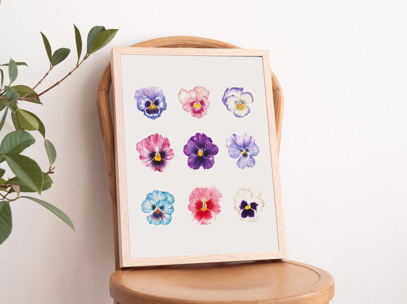 Pansy Art Print, Botanical Illustration, Flower Poster, Pansy Wall Art ...