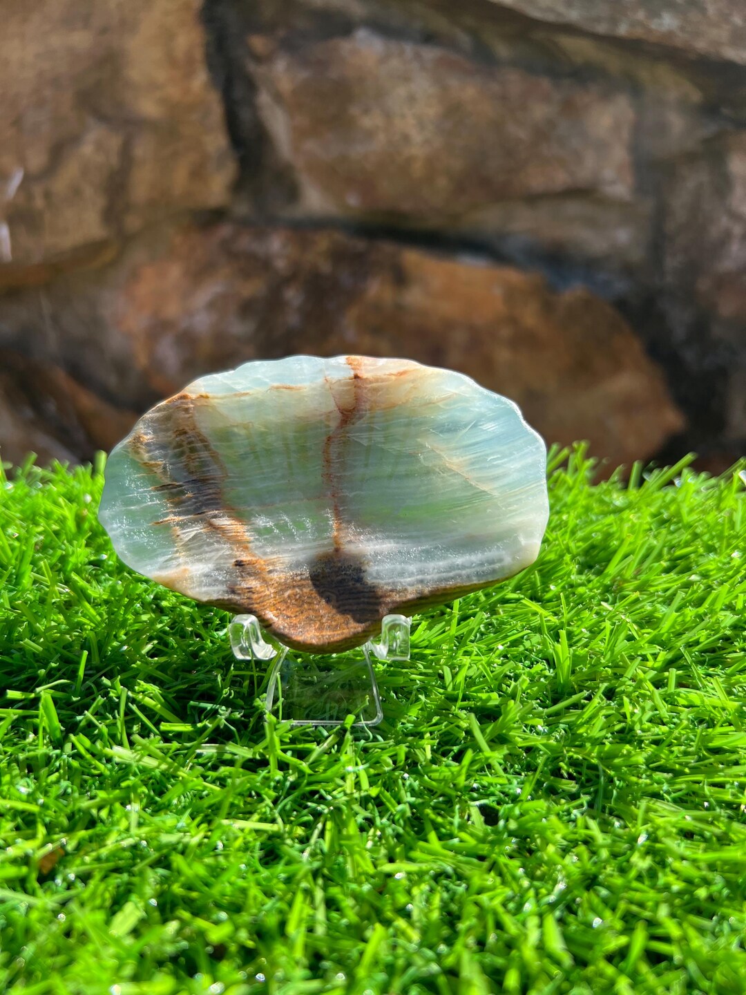 Blue Onyx Shell - Etsy