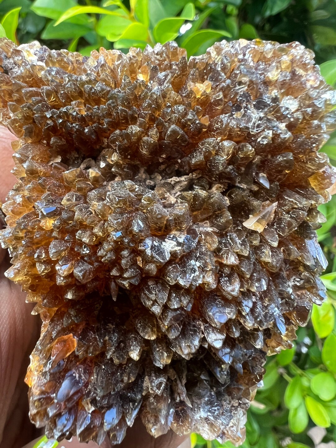 Raw Amber Calcite Specimen UV Reactive - Etsy