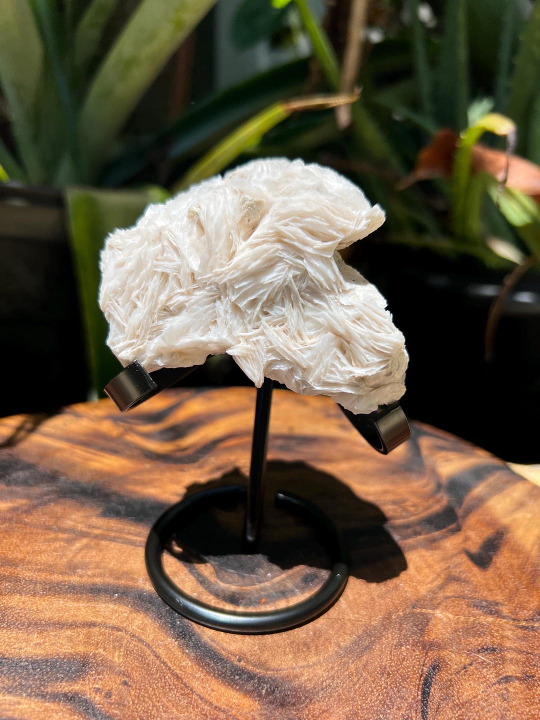 White Rose Petal Calcite Specimen - Etsy