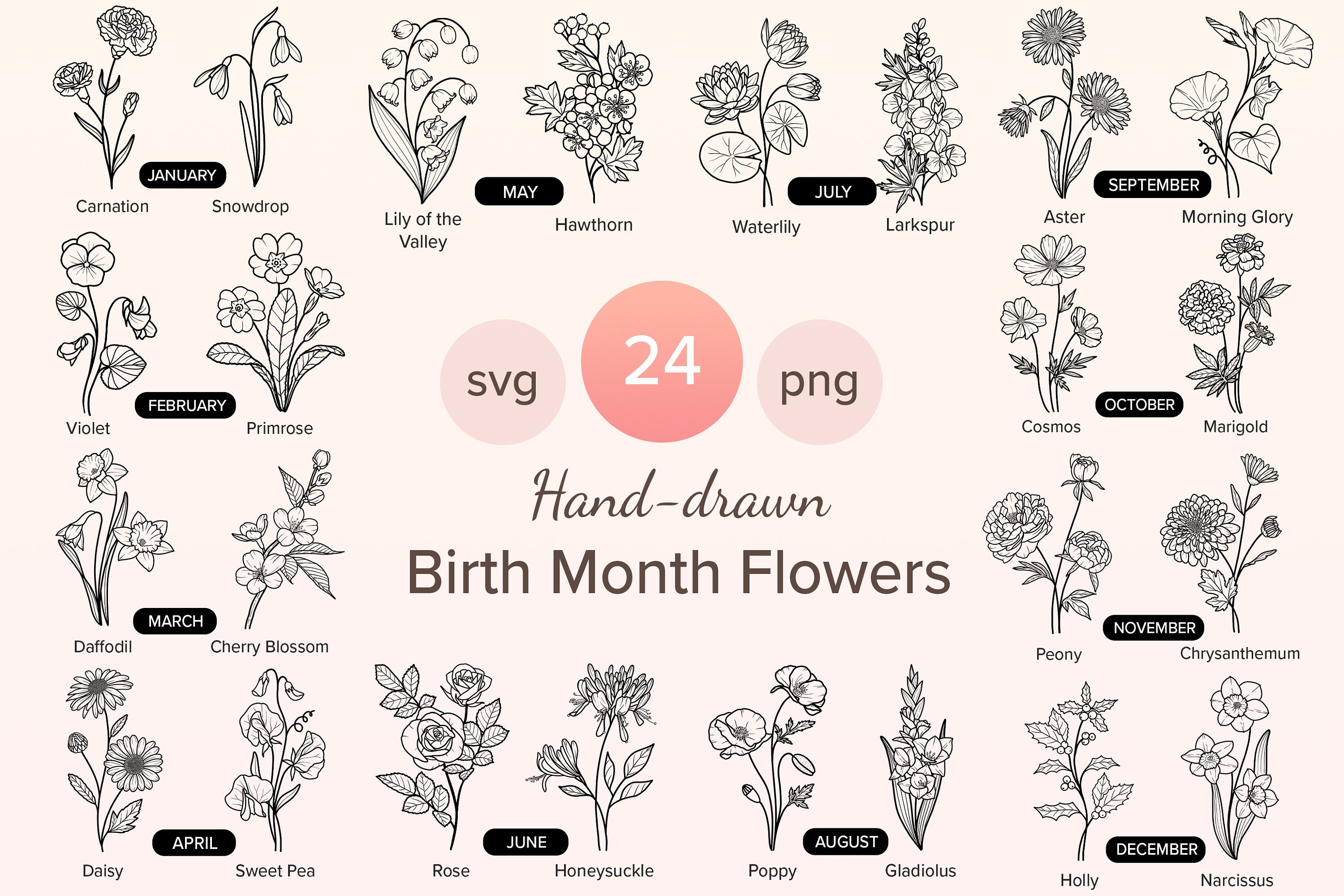 Birth Month Flowers SVG, Png and EPS Bundle, Floral & Botanical Svg ...