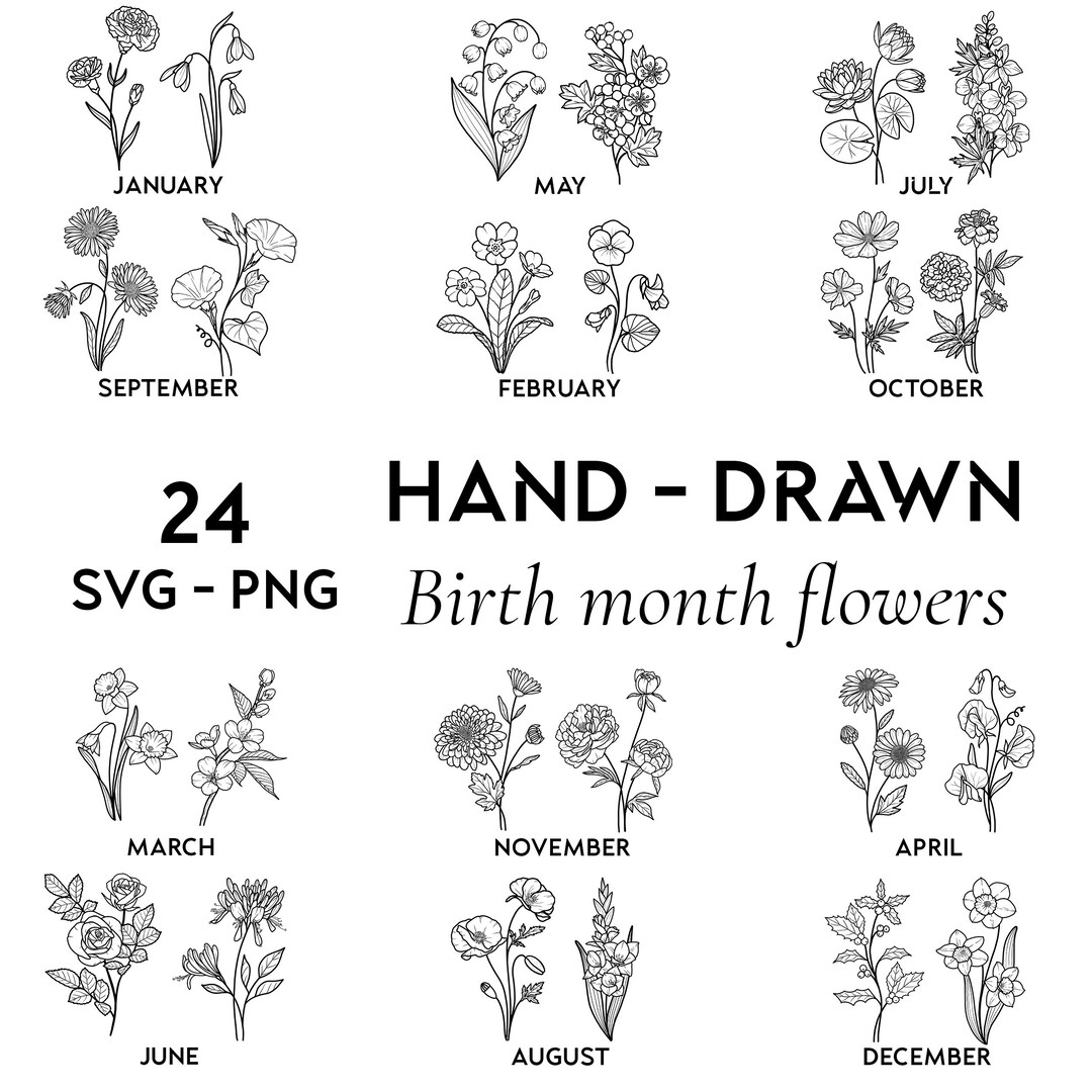 Birth Month Flowers SVG, Png and EPS Bundle, Floral & Botanical Svg ...