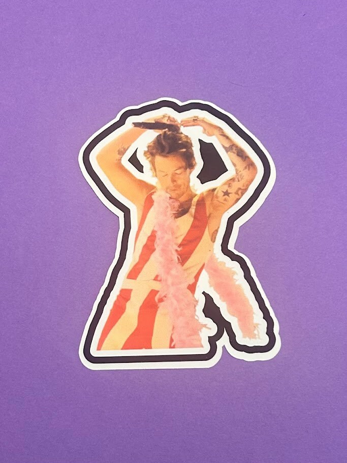 Harry Styles Stickers - Etsy