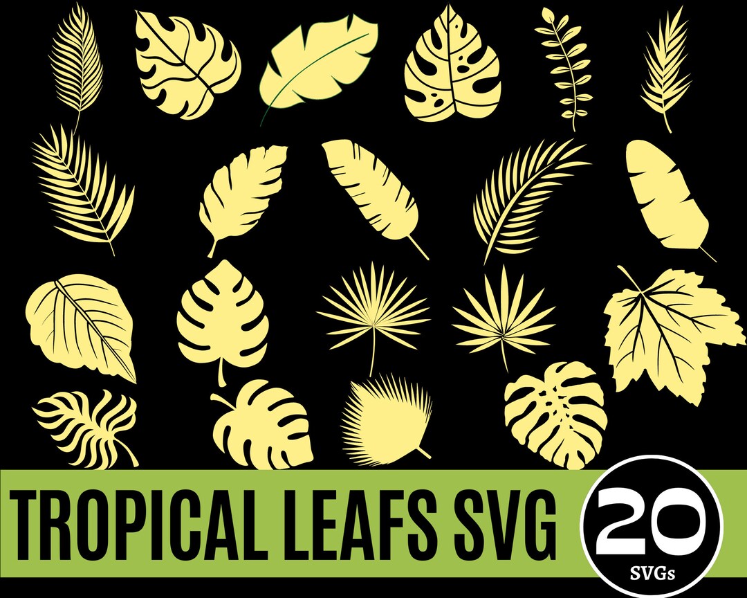 Tropical Leaves Bundle Svg Palm Leaf Svg Monstera Leaf Svg Monstera