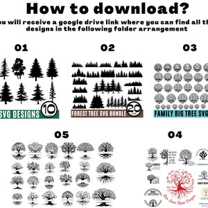 Mega Family Tree With Branches Svg Bundle, Celtic Tree Svg, Split Tree ...